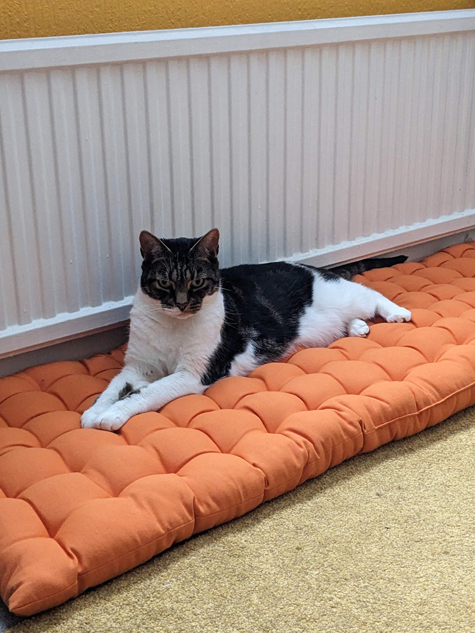 Our Super Adventure – A Diary Comic by Sarah Graley and Stef Purenins